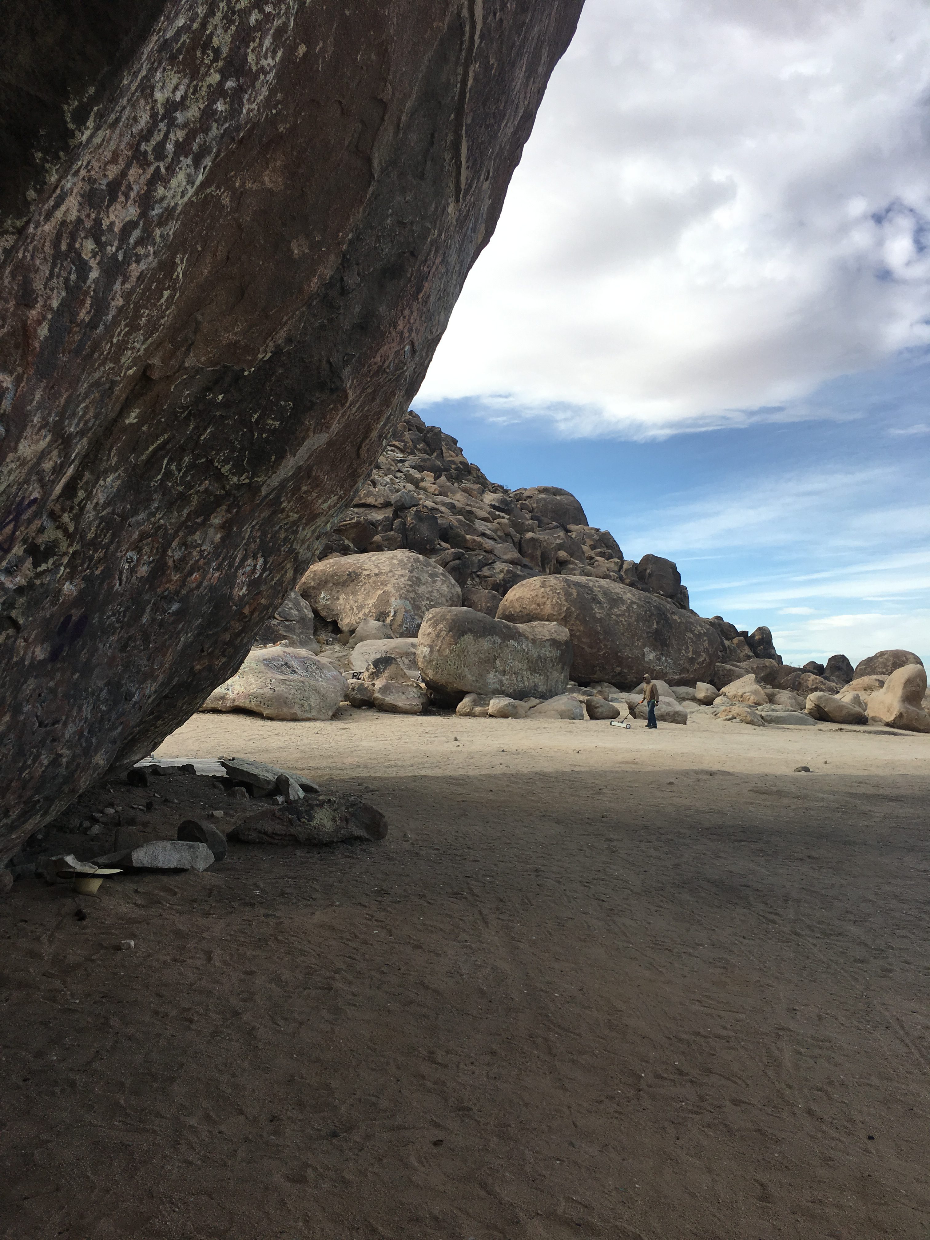Stories and Stewardship a Success at Giant Rock - Blight Sites